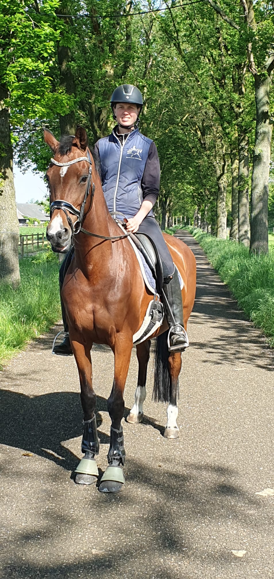TotalHorseCare & Stoeterij van Rosmalen - Ons Team